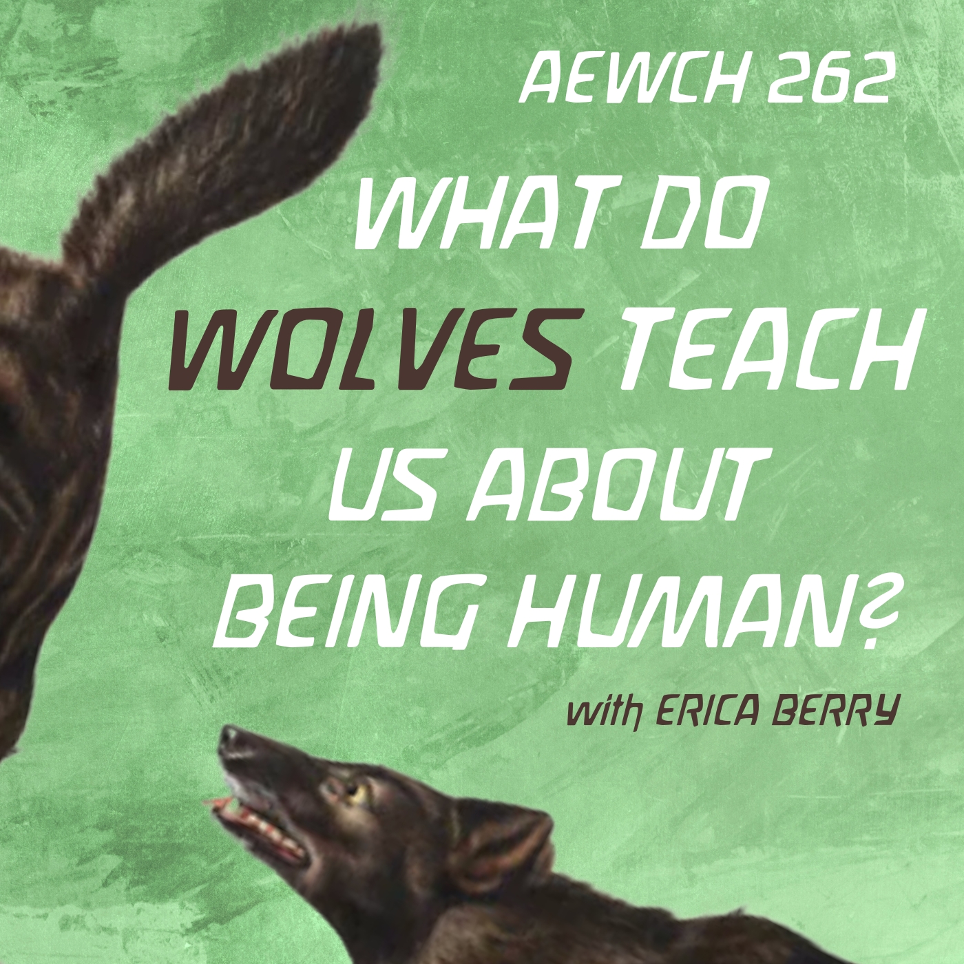 What are the lessons of wolves? I talk with cultural theorist and ...